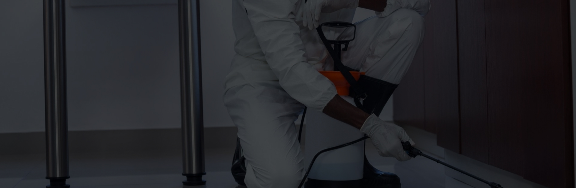 Eliminating Pests with Precision: Advanced Pest Control Solution-A Case ...