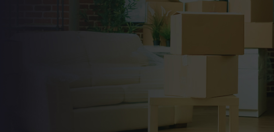 An All-Encompassing Rental Platform | Client Case Studies