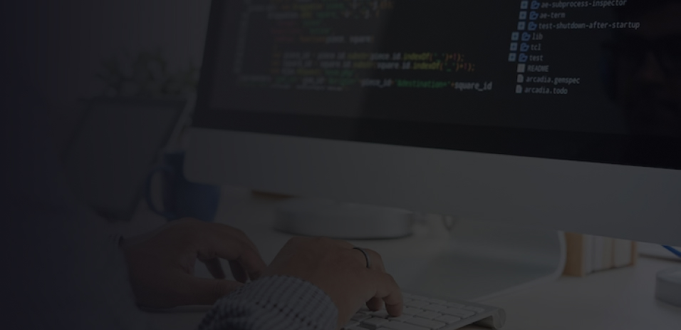 Automated Application Development Case Study